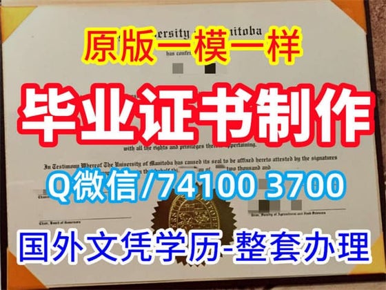 NCSU Certificate | PPT