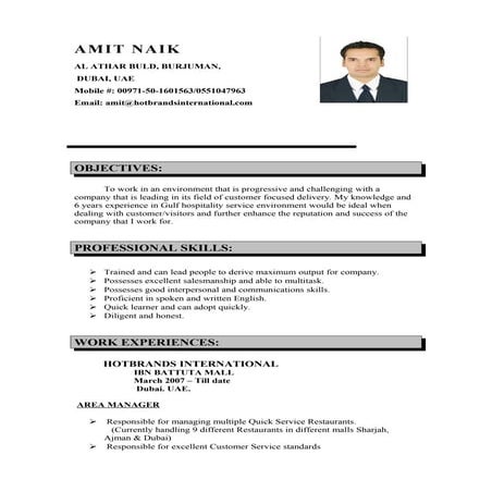 Amit Resume | PDF