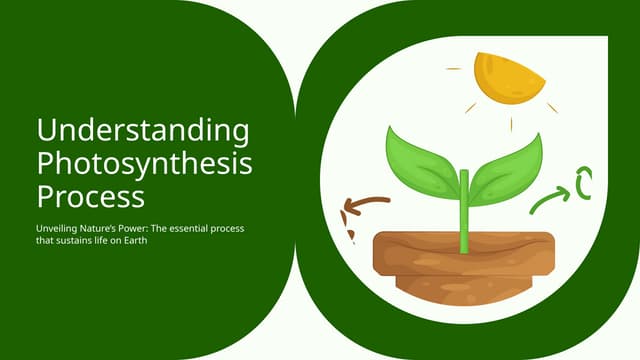 The importance of photosynthesis in the ecosystem | PPTX