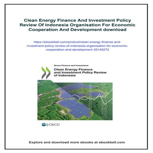 Clean Energy Finance And Investment Policy Review Of Indonesia ...