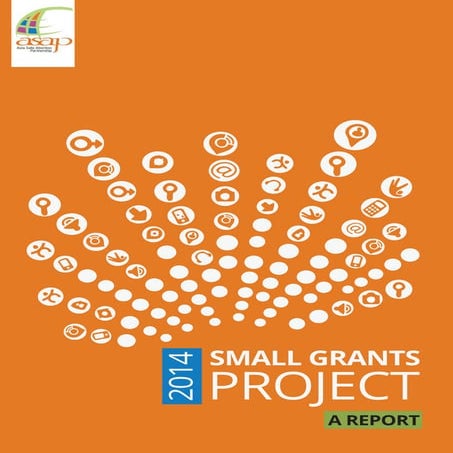ASAP_Small_Projects_Grant_Optimized | PDF | Birth Control ...