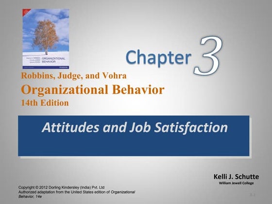 Organizational behavior chapter 2 | PPT