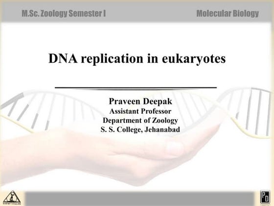Dna Replication In Eukaryotes Pptx