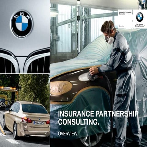 BMW CCRC InsCoopProgramOverview | PDF