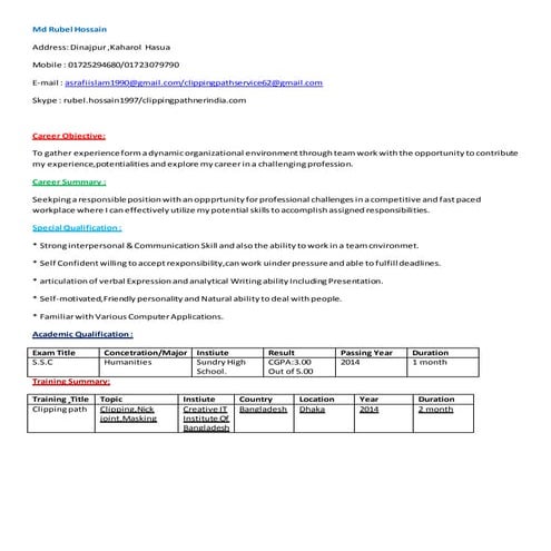My CV Formet | PDF