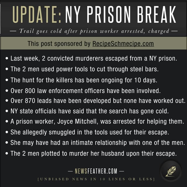 Update: New York Prison Break | PDF