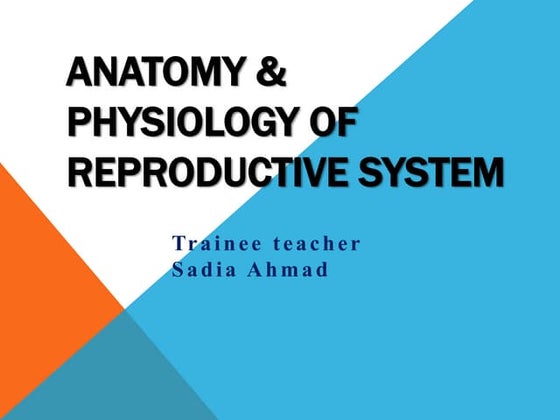 Anatomy Reproductive System For Grade 10 Ppt