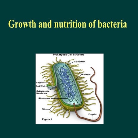 17918613244556-Growth-and-nutrition-of-bacteria-ppt.ppt