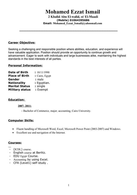 MOHAMED BADR_ CV | PDF