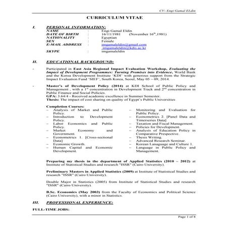 cv nour - Copy | PDF