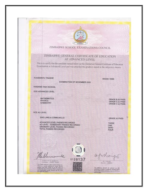 ECS Certificate Fedzinina | PPT