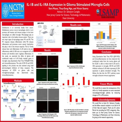 Research Day Poster Spring 15 | PPT