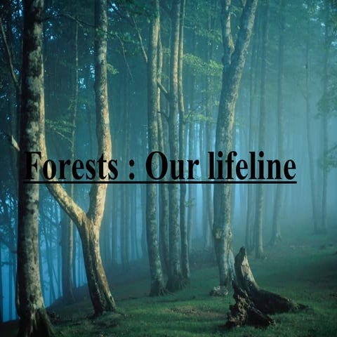 PPT Class 7th Science Chapter- 17 Forests - Our Lifeline | PDF