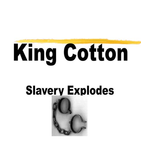 17 king cotton slavery (11) | PPT