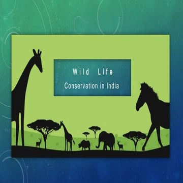 Wildlife conservation ppt | PPTX