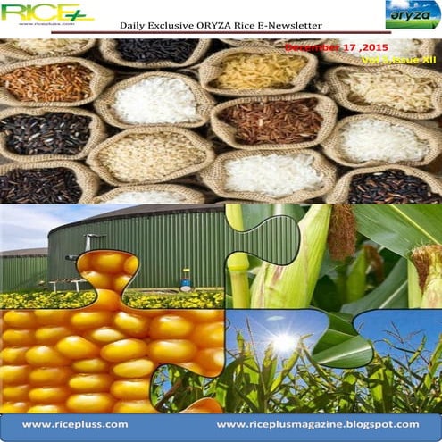 Thailand's Rice Production Economy and Policy Toward Sustainable rice ...