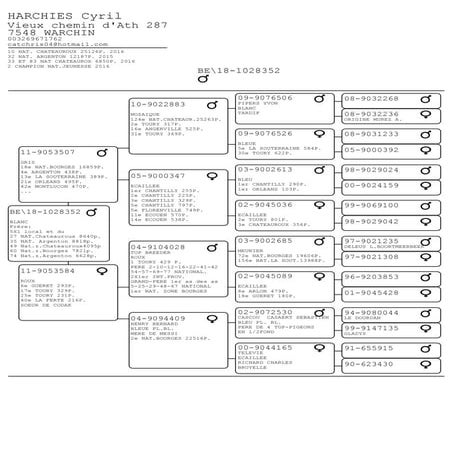 18 1028352 ped | PDF