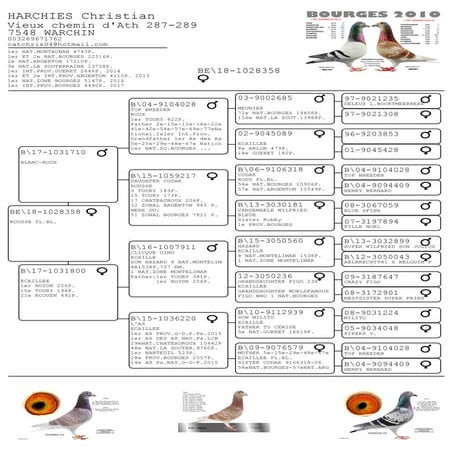 18 1028358 ped | PDF