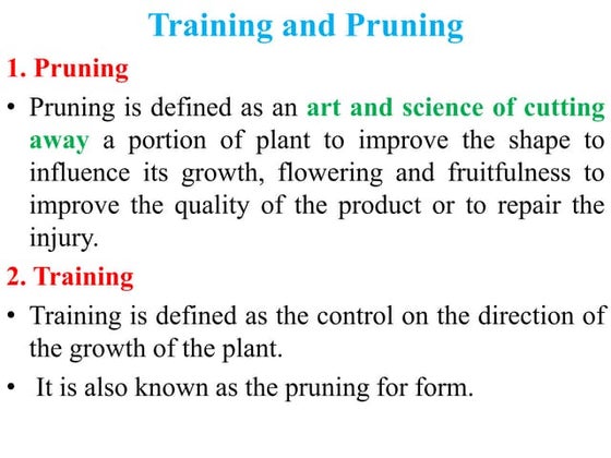 Taining and pruning in horticultural crops | PPT