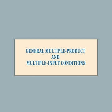 18. General Multiple-Product and input.pptx