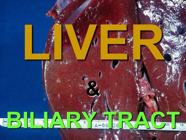 The diseases of the hepatobiliary system | PPTX
