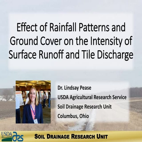 Dr. Lindsay Pease - Effect Of Rainfall Patterns And Ground Cover On The ...