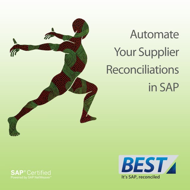 Supplier Statement Reconciliations in SAP - brochure | PDF