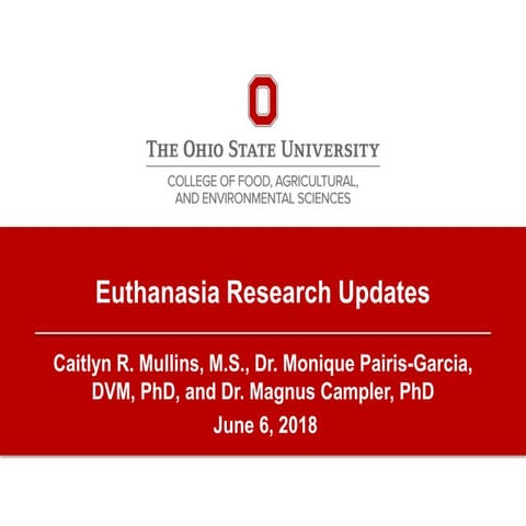 Caitlyn Mullins - Euthanasia Research and Resources | PPTX