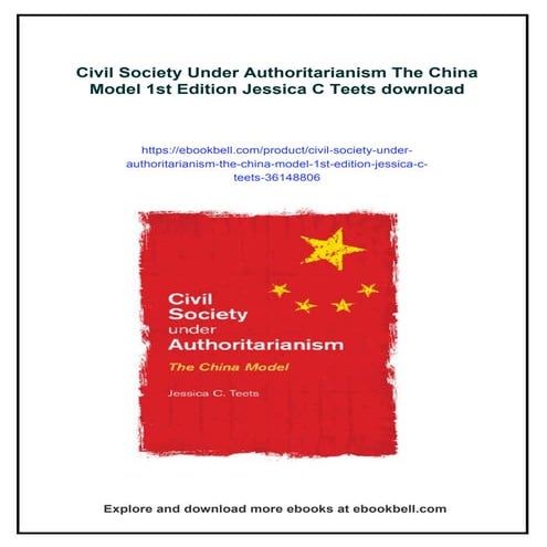 Civil Society Under Authoritarianism The China Model 1st Edition ...