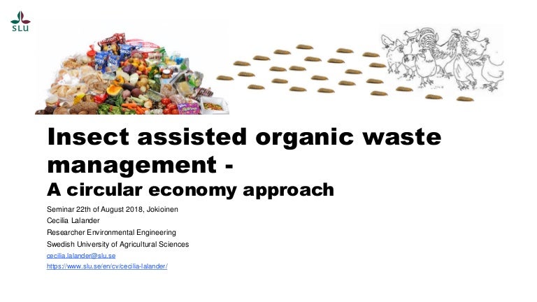 Insect assisted organic waste management - A circular economic approa…