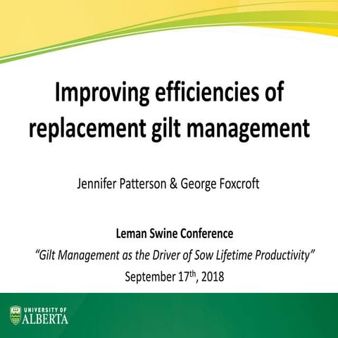 Jennifer Patterson - Improving Efficiencies of Replacement Gilt ...