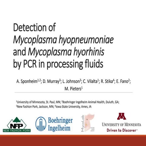 Dr. Amanda Sponheim - Detection of Mycoplasma hyopneumoniae and ...