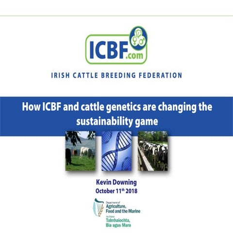 Kevin Downing - How ICBF And Cattle Genetics Are Changing The ...