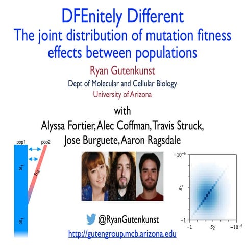 DFEnitely Different: The joint distribution of mutation fitness effects ...