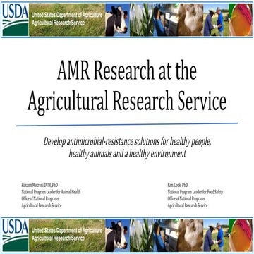 AMR poster templates of posters presentation | PPTX