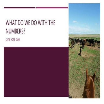Dr. Katie Hope - What Do We Do With The Numbers? | PPTX