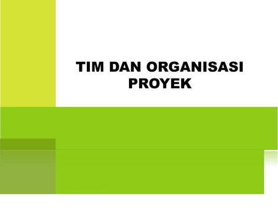 05 organisasi proyek | PDF