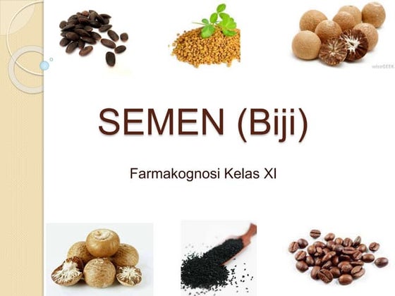 FARMAKOGNOSI DASAR SIMPLISIA CORTEX.pptx