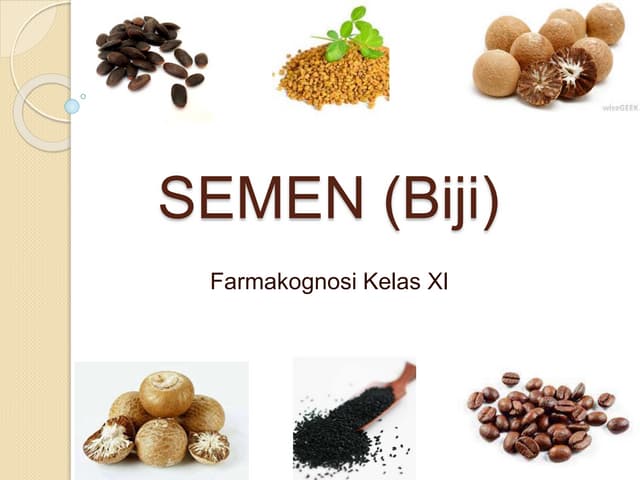 materi 1 Farmakognosi kelas XI F (Simplisia FLOS).pptx