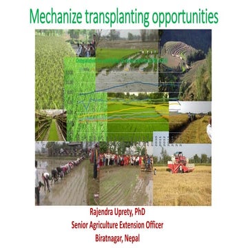 1056 Meshing mechanization with SRI methods for rice cultivation in ...