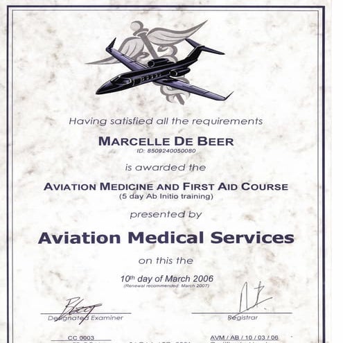 060310 Aviation First Aid | PDF