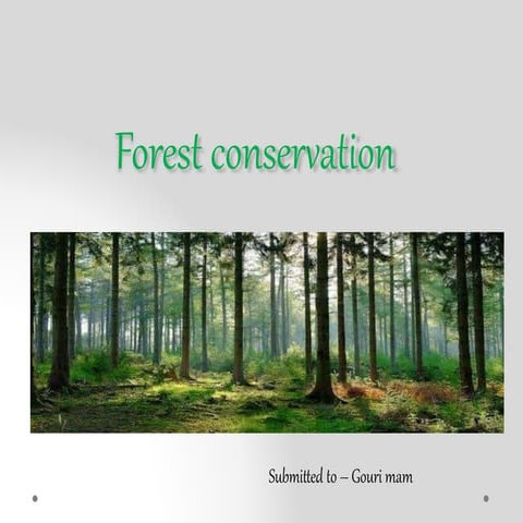 1816225357-forestconservation-180111113717.pptx