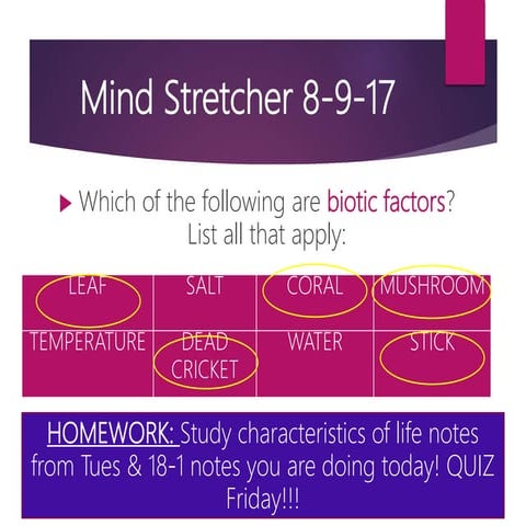 BellWork, Inside Outside Circle, Formative Assessment | PPTX