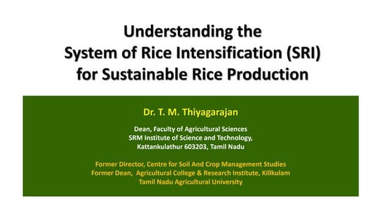 System of rice Intensification (SRI) | PPTX | Agriculture | Industries
