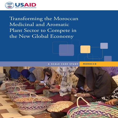 Morocco_AP3 Case_Study (1) | PDF