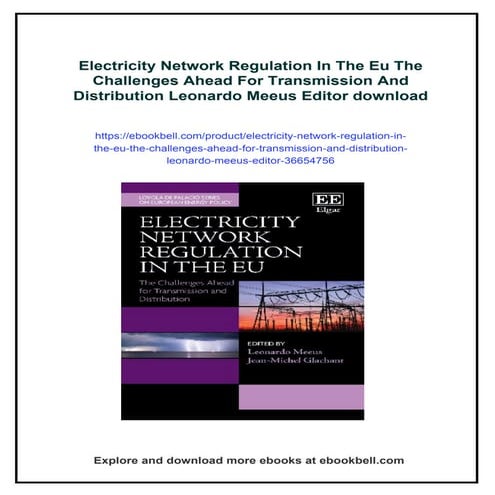 Electricity Network Regulation In The Eu The Challenges Ahead For ...