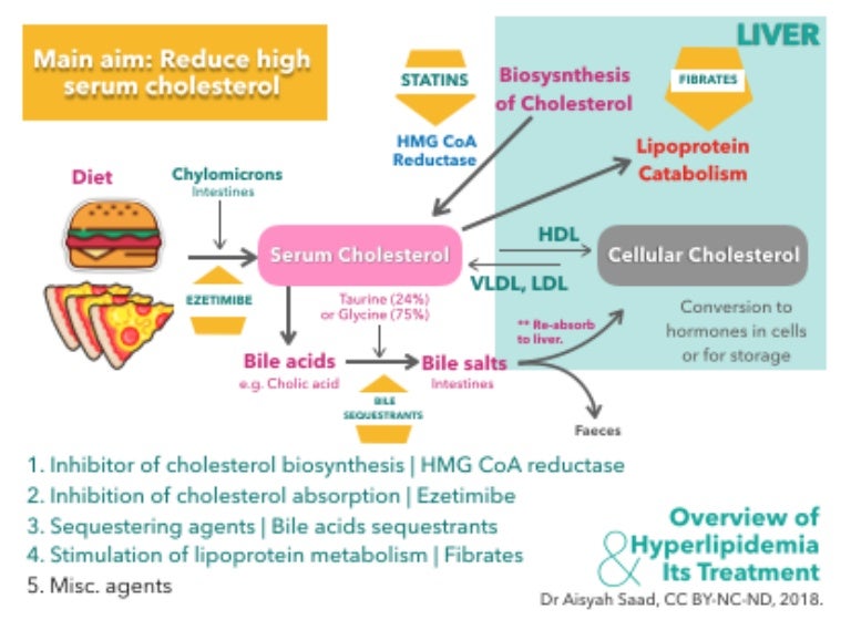 Overview of Hyperlipidemia and Its Treatment
