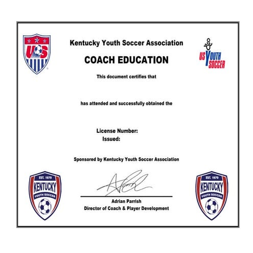 CDC Concussion Certificate | PDF