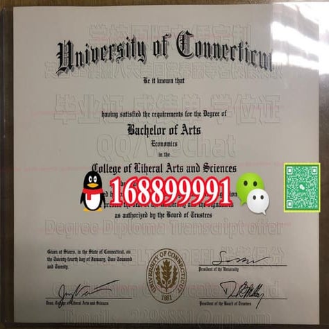 University of Connecticut degree offer diploma Transcript | PDF
