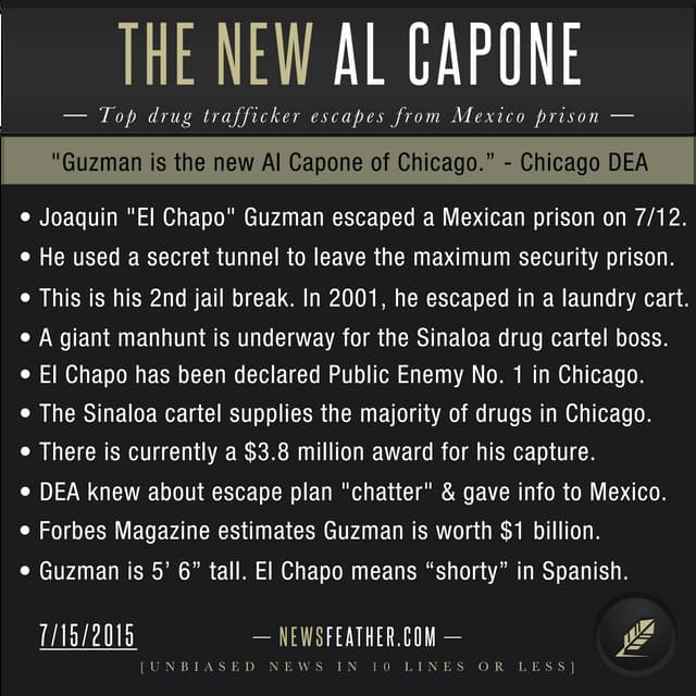 The New Al Capone | PDF